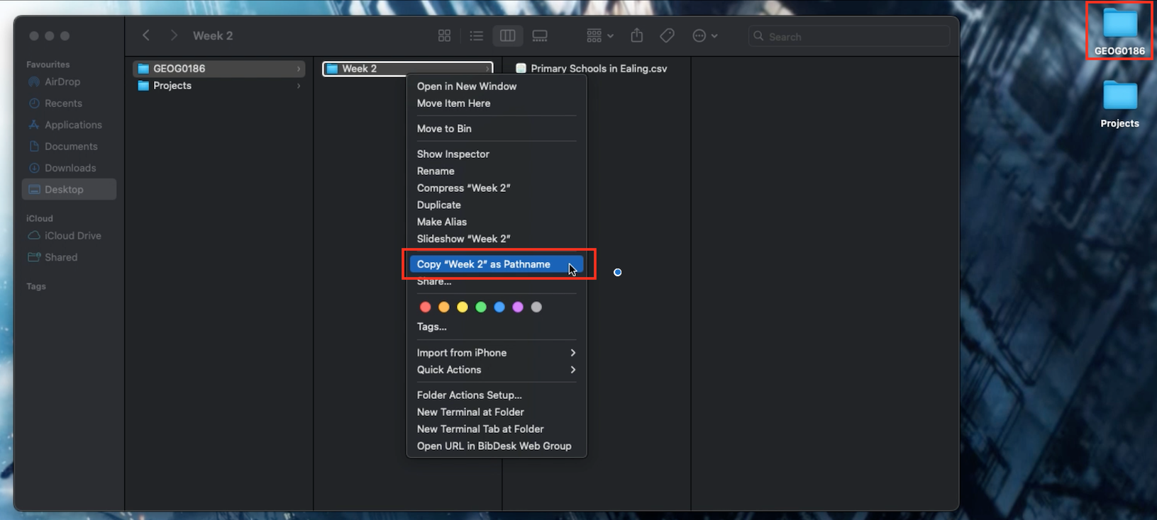 Week 2: Introduction II